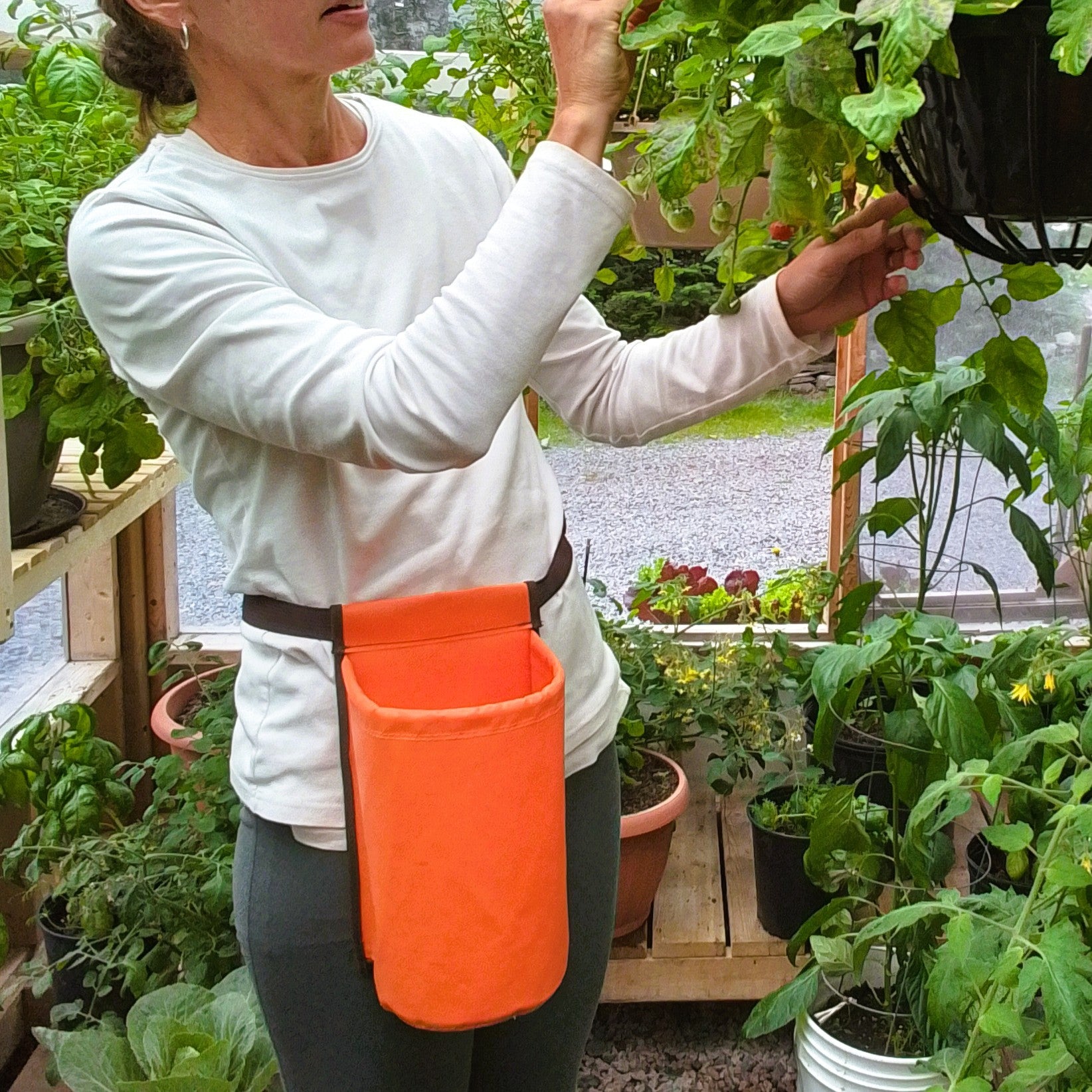 Berry Picking Bag Regular - Hands-Free Berry Picking Basket ...